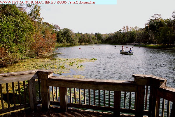 Landscape in Florida